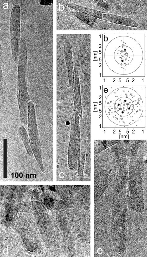 Structure Of Chlorosomes From The Green Filamentous Bacterium