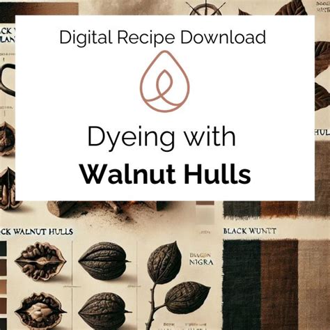E Book Dyeing With Walnut Hulls Natural Dye Store