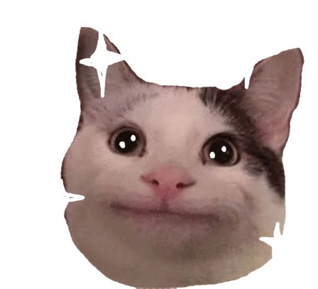 Gato Wishes Cat Sticker Gato Wishes Cat Kitty Discover And Share S