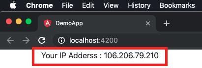How To Get The Client Ip Address In An Angular Application