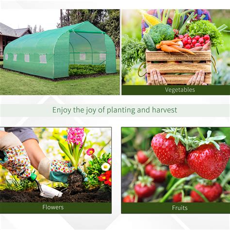 Polytunnel Greenhouse With Windows And Door Walk In Ao845