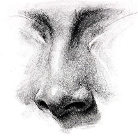 How To Draw A Nose Step By Step Tutorial Nose Portrait Drawing