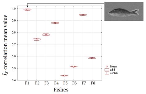 Nonlinear Correlation Plane Of Identity Vector Signature Where
