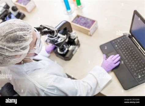 From Above Woman Scientist Looking Through Microscope At Laboratory Stock Photo Alamy