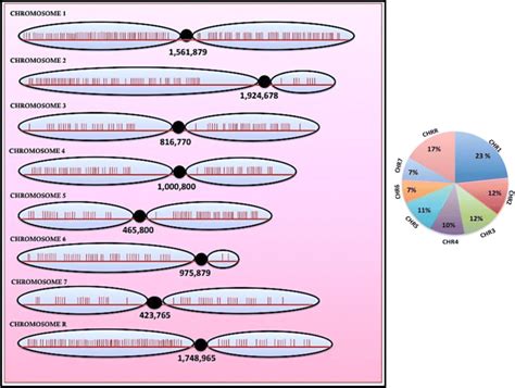 Distribution Of Hsf1 Binding Sitesthe Distribution Of Hsf1 Binding Download Scientific Diagram