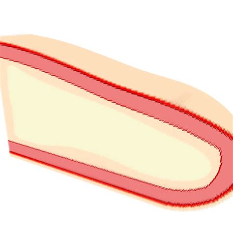 Cross Sectional View Of The Voxelized Fingertip Model Download