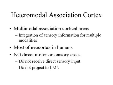 Cerebral Cortex 2 Heteromodal Association Cortex Multimodal Association