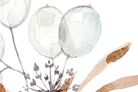 Available Puppies — Crazy Patch Ranch