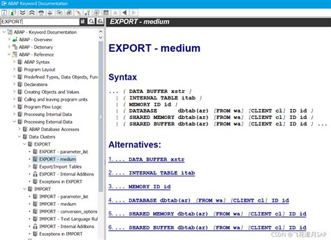 利用export Import 轻松实现sap通用接口日志程序 Xml 和 Json 格式 Sap Export Data Buffer Csdn博客