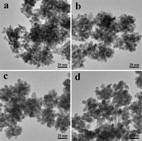 Ad Tem Of Pdpt Coreshell Nanoflowers Collected At 2 H 6 H 12 H And Download Scientific