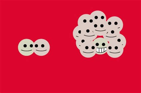 Life S Extremes Monogamy Vs Polygamy Live Science