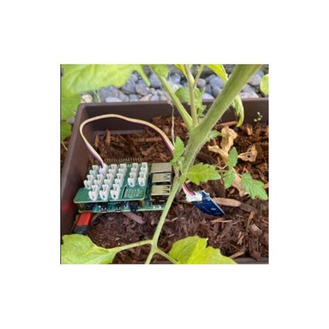 Iot For Beginners With Seeed And Microsoft Raspberry Pi 4 Starter Kit
