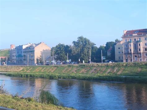 Астрологи назвали знаки Зодіаку яким усміхнеться удача вже з 8 серпня Intermarium