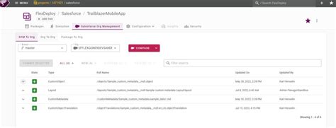 deploying salesforce custom metadata using flexdeploy flexagon