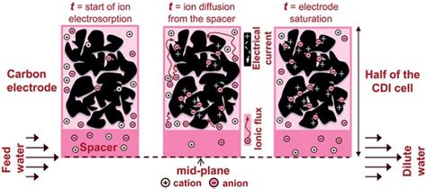 Schematic View Of The Time Dependent Two Dimensional Porous Electrode Download Scientific