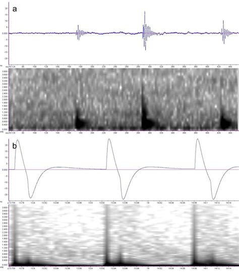 representative waveform top and spectrogram bottom of burbot calls