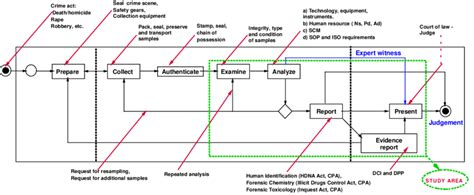 Process Flow Chart For Forensic Science Services In Tanzania And The