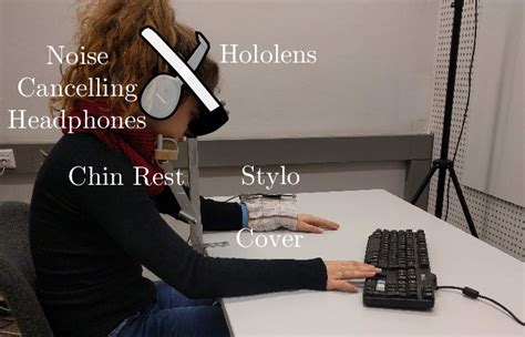 Setup During The Haptic Discrimination Task Download Scientific Diagram