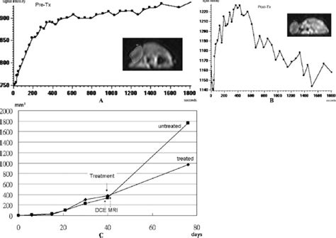 A The Time Intensity Curve Tic Of A Kb Tumor Before Lm609 Treatment