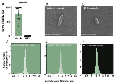 Optimization Of Aspergillus Versicolor Culture And Aerosolization In A