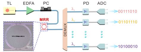 信息工程学院在国际顶级光学期刊《light：science＆applications》（nature子刊）发表研究论文 广东工业大学信息工程学院
