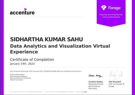 Dataanalytics Datavisualisation Experience Visualization Learning Internship Excel
