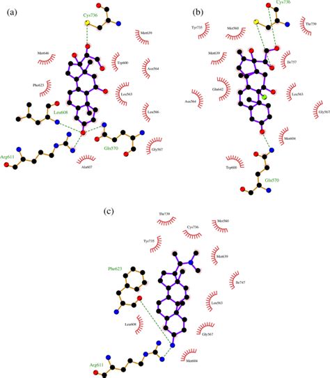 Exploring The Binding Properties Of Agonists Interacting With