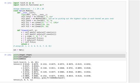 Getting Correct Output Vision Pytorch Forums