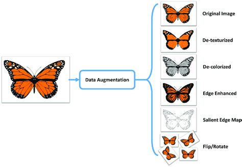 Maximizing The Impact Of Data Augmentation Effective Techniques And