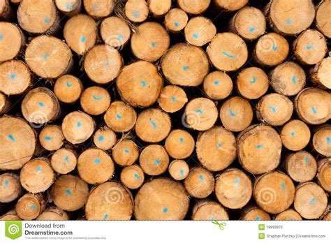 Stacked Tree Trunks Background Texture Pattern Stock Image Image Of Energy Logging