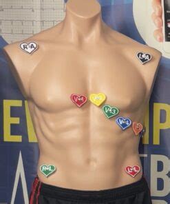 DART Essentials ECG Simulator By DART Sim