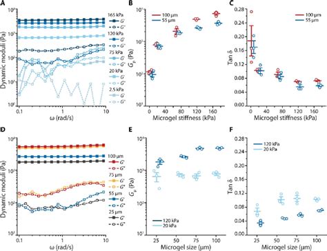 Properties Of The Building Blocks Determine The Lve Response In