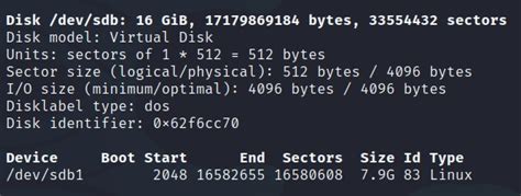 Disk Partitioning On Kali Linux A Beginners Guide Infosecscout