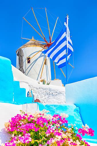 유명한 여행 장소 그리스 산토리니 섬의 오이아 빌리지에서 그리스 국기가 있는 전통 풍차의 그림 같은 전망 전경의 다채로운 꽃수직 이미지 구성 0명에 대한 스톡 사진 및 기타