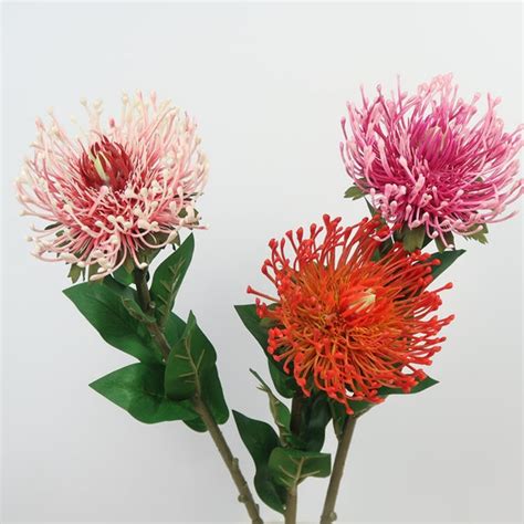 Pincushion Protea Flowerpincushion Proteafaux Etsy