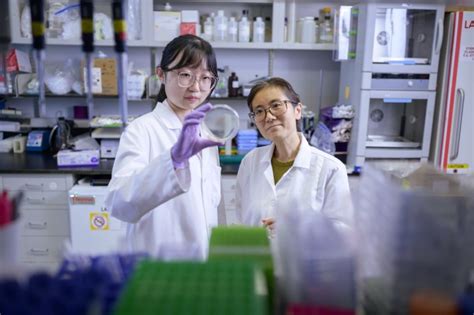 Mentorship And Faculty Support For Cancer Engineering Phd Students