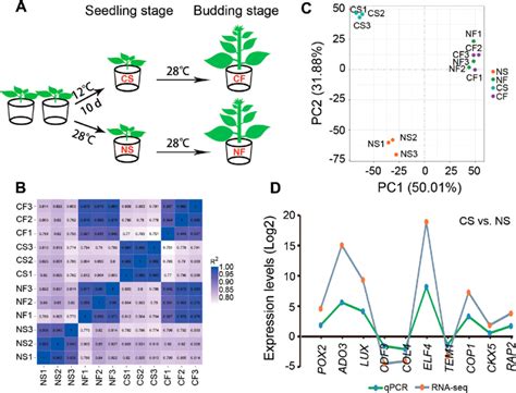 Quality Assessment Of RNA Seq Data A Overview Of The Experimental