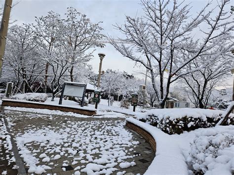 ♡인생은 라이브입니다♡ 산다는 것은 태어나면서부터 죽을 때까지 복습 없는 라이브 연극인지도 모릅니다 출발은 다르나 목적지는 한 곳으로 필독 눈물콸콸 감동모음