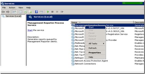 About Dynamics Development And Life Management Reporter