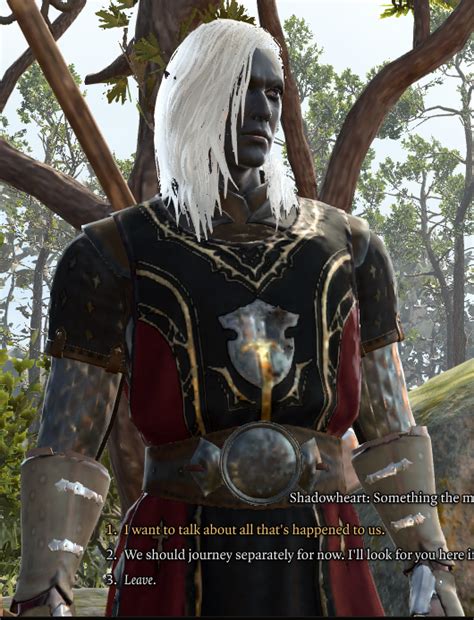 Valas Drow Paladin By Noratcat On Deviantart