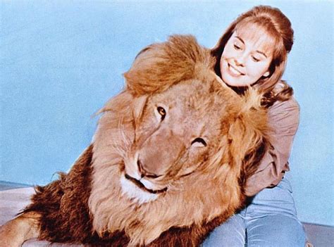 Clarence De Schele Leeuw Er Is Troost