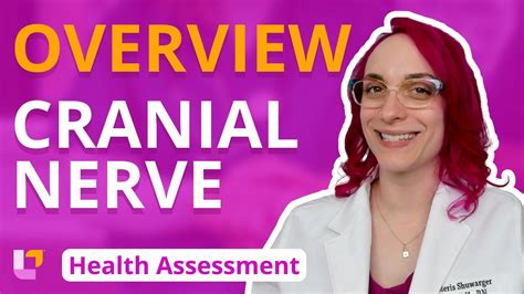 Cranial Nerve Overview Leveluprn