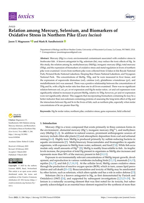 Pdf Relation Among Mercury Selenium And Biomarkers Of Oxidative Stress In Northern Pike