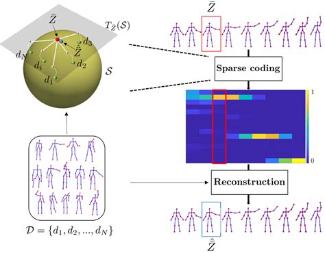 Illustration Of Intrinsic Sparse Coding In The Kendalls Shape Space