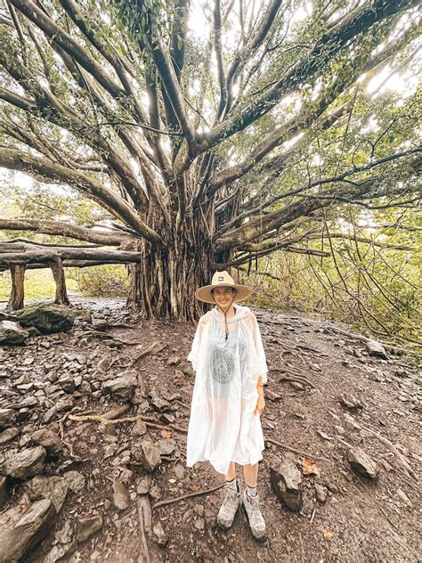 Ultimate Pipiwai Trail Hike Guide On Mauis Road To Hana