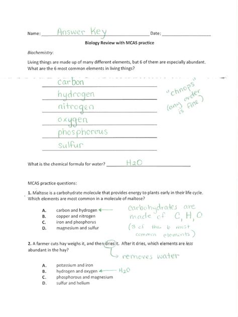 Biology Review With Mcas Practice Biochemistry Answer Key Pdf
