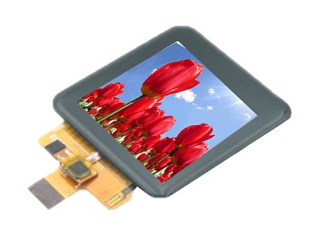 Inch IPS Lcd Module With Capacitive Touch Screen