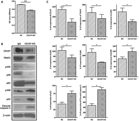 Knockout Of Cd147 By Crisprcas9 Resembles The Effect Of Cd147