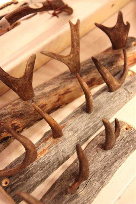 Incredible Crafts With Antlers For Small Space Wallpaper Hd And Aesthetic