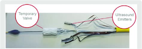 Terminal Element Of The Tdd Device Download Scientific Diagram Terminal Element Of The Tdd Device Download Scientific Diagram